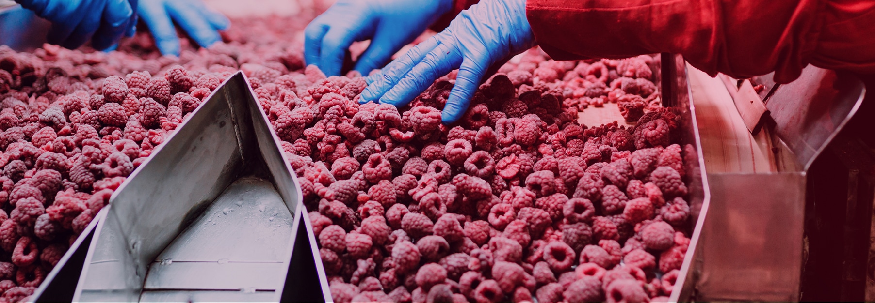 Maison André Monteil - The infinite world of fruit